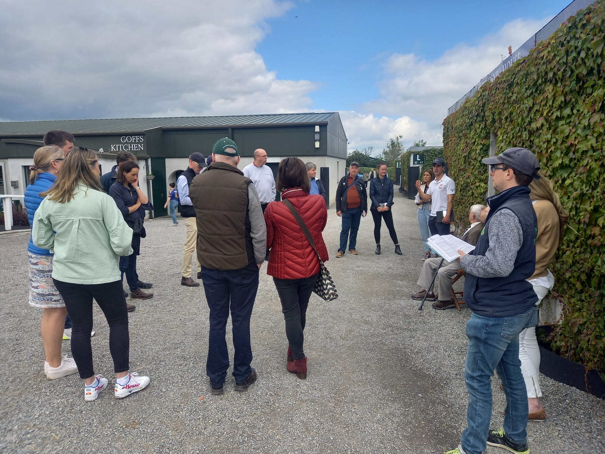 How to Buy a Yearling: What to Look Out For - Syndicates.Racing